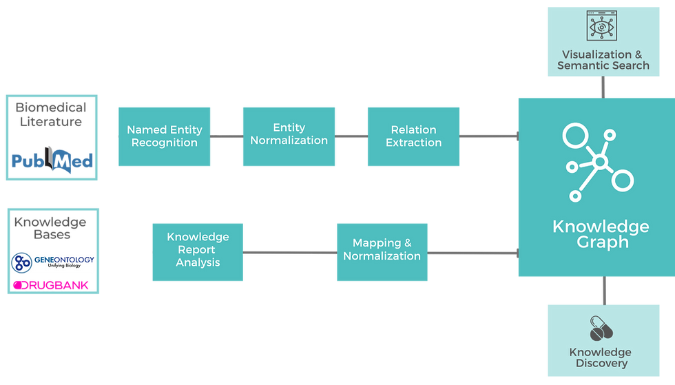 Constructing Biomedical Knowledge Graphs To Discover Hidden Information